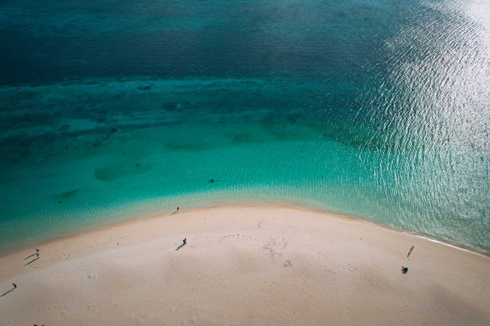 株式会社レイディアント